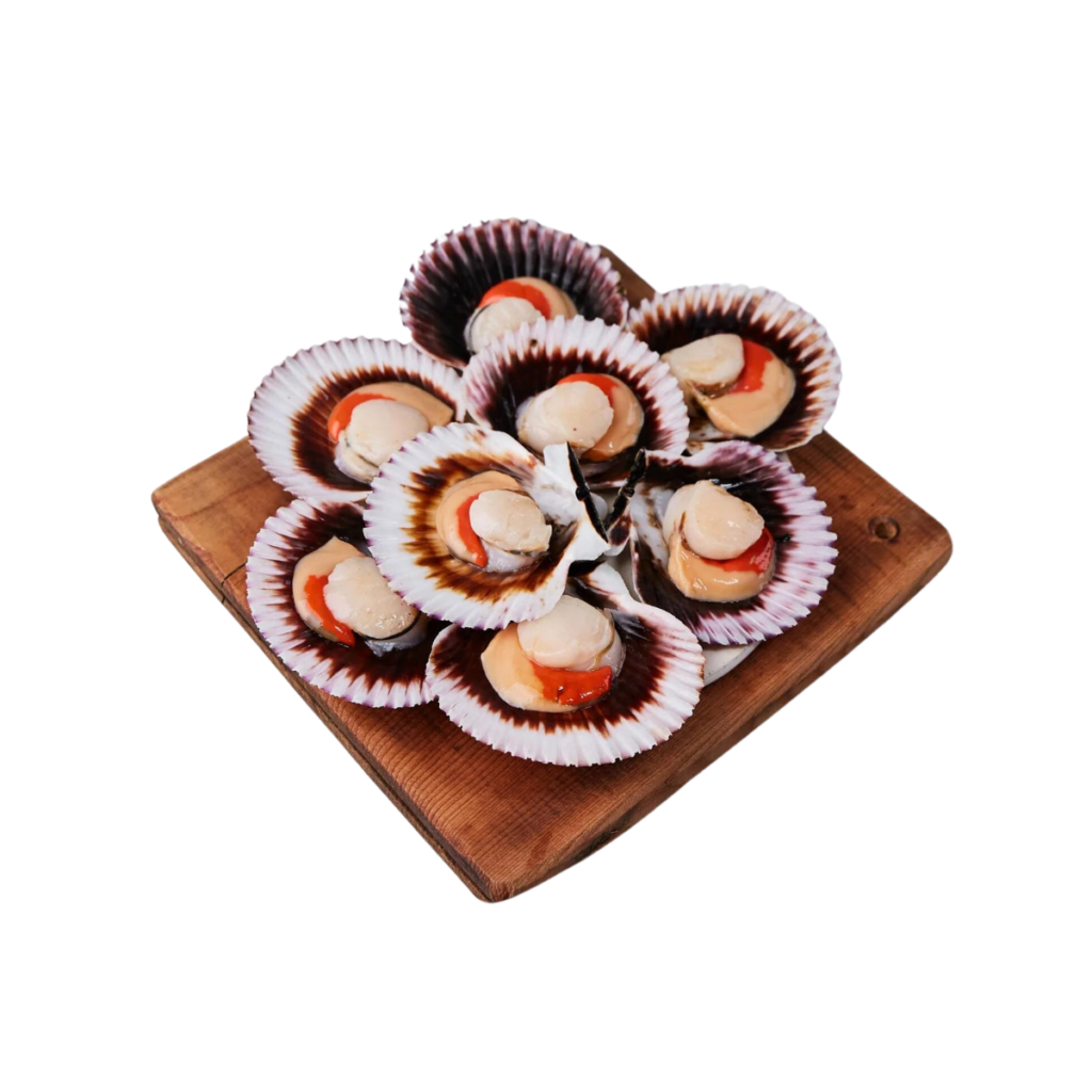 Ostiones 1/2 concha Bandeja. 8 ostiones (congelada) – Ostras Bilbao