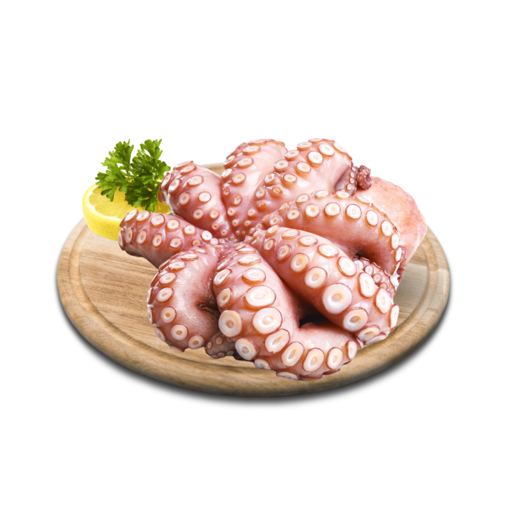 Pulpo del norte Crudo kg. – Ostras Bilbao